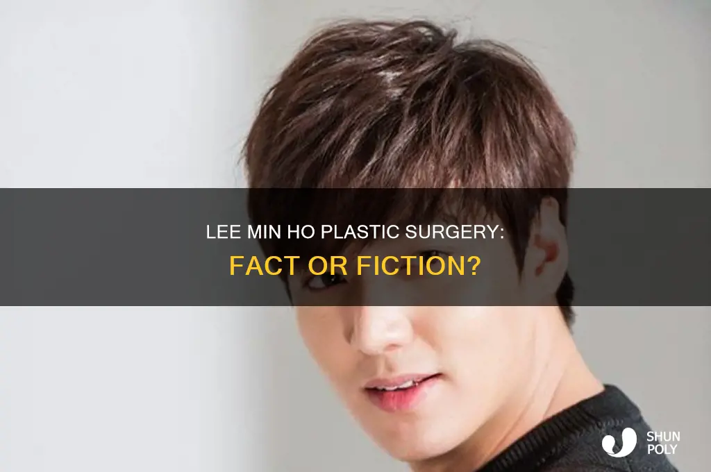 Lee Min Ho Plastic Surgery: Fact Or Fiction? | ShunPoly