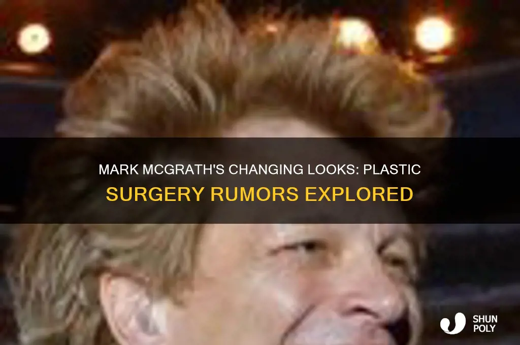 Mark Mcgrath's Changing Looks: Plastic Surgery Rumors Explored | ShunPoly