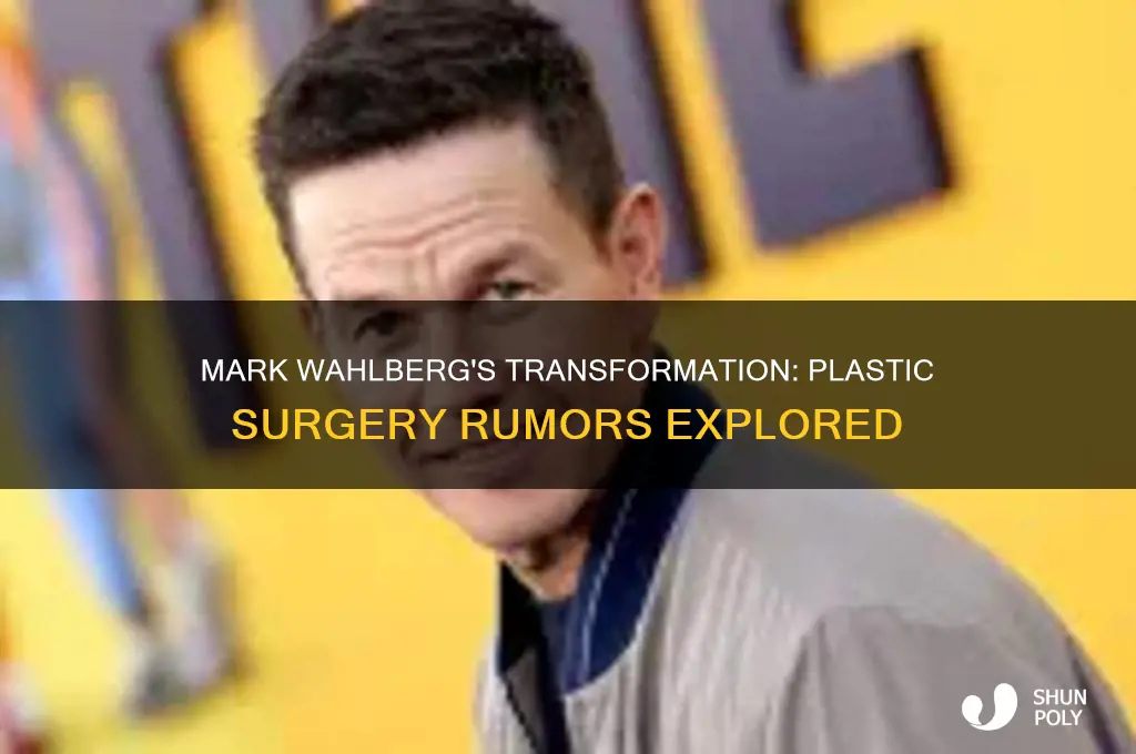 Mark Wahlberg's Transformation: Plastic Surgery Rumors Explored | ShunPoly
