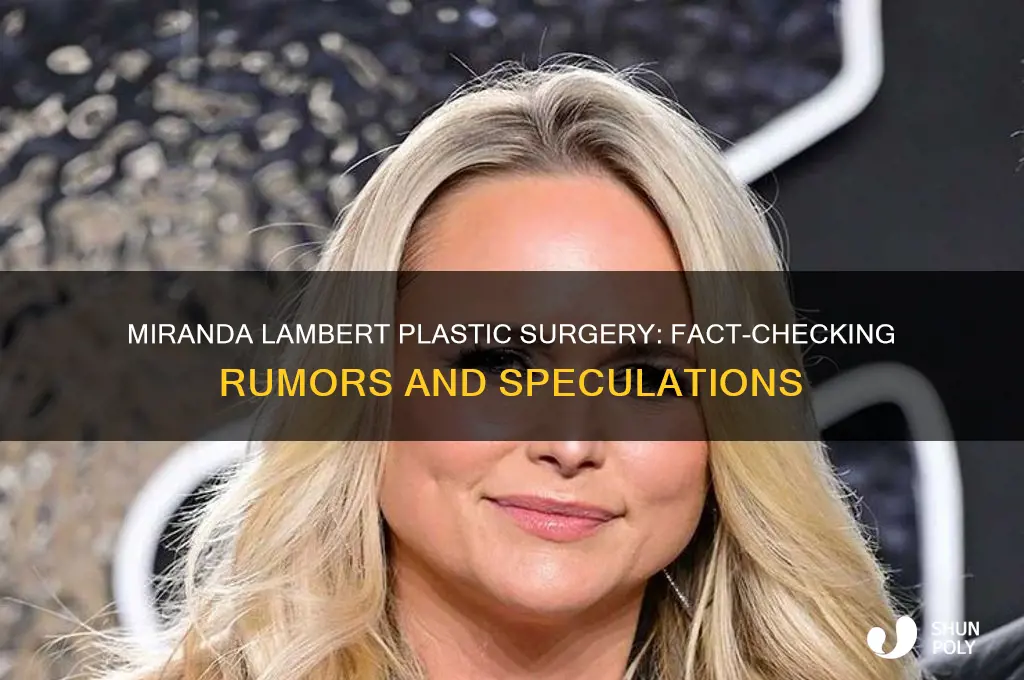Miranda Lambert Plastic Surgery: Fact-Checking Rumors And Speculations ...
