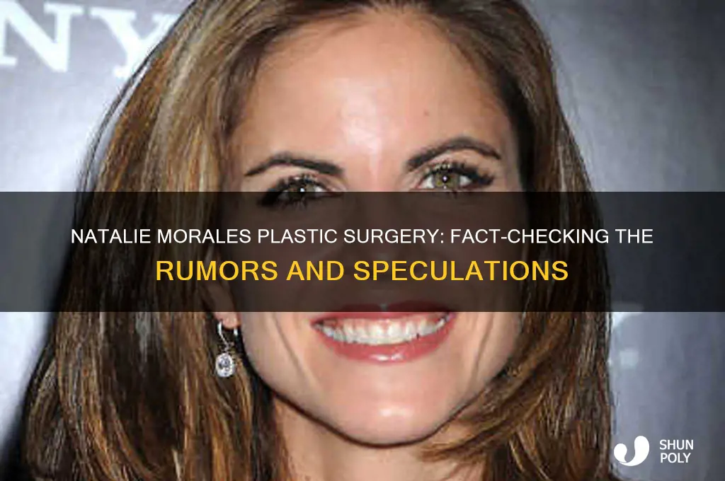 Natalie Morales Plastic Surgery: Fact-Checking The Rumors And ...