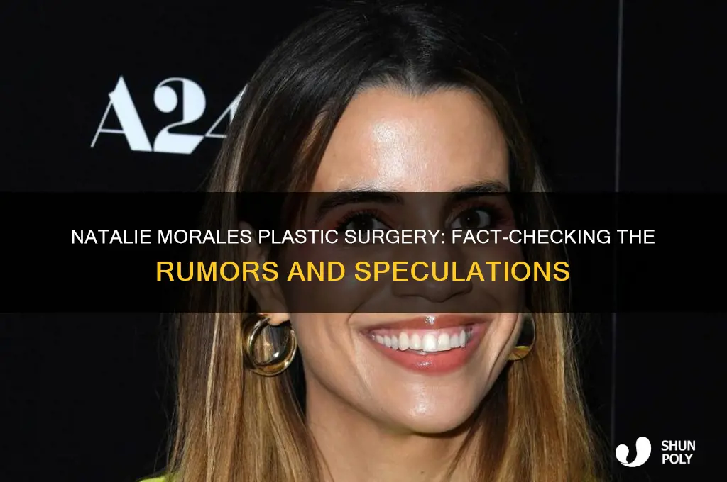 Natalie Morales Plastic Surgery: Fact-Checking The Rumors And ...