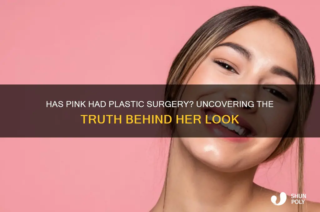 Has Pink Had Plastic Surgery? Uncovering The Truth Behind Her Look ...