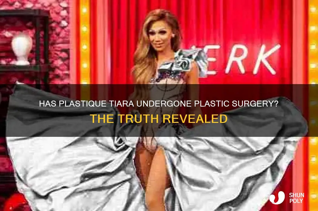 Has Plastique Tiara Undergone Plastic Surgery? The Truth Revealed ...