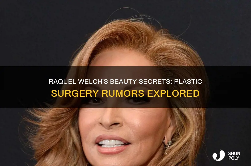 Raquel Welch's Beauty Secrets: Plastic Surgery Rumors Explored | ShunPoly