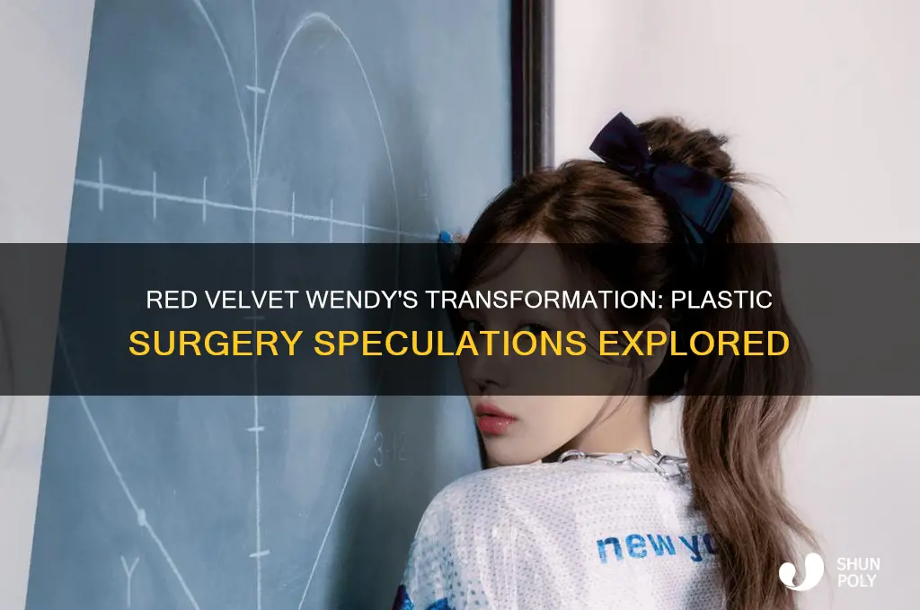 Red Velvet Wendy's Transformation: Plastic Surgery Speculations ...