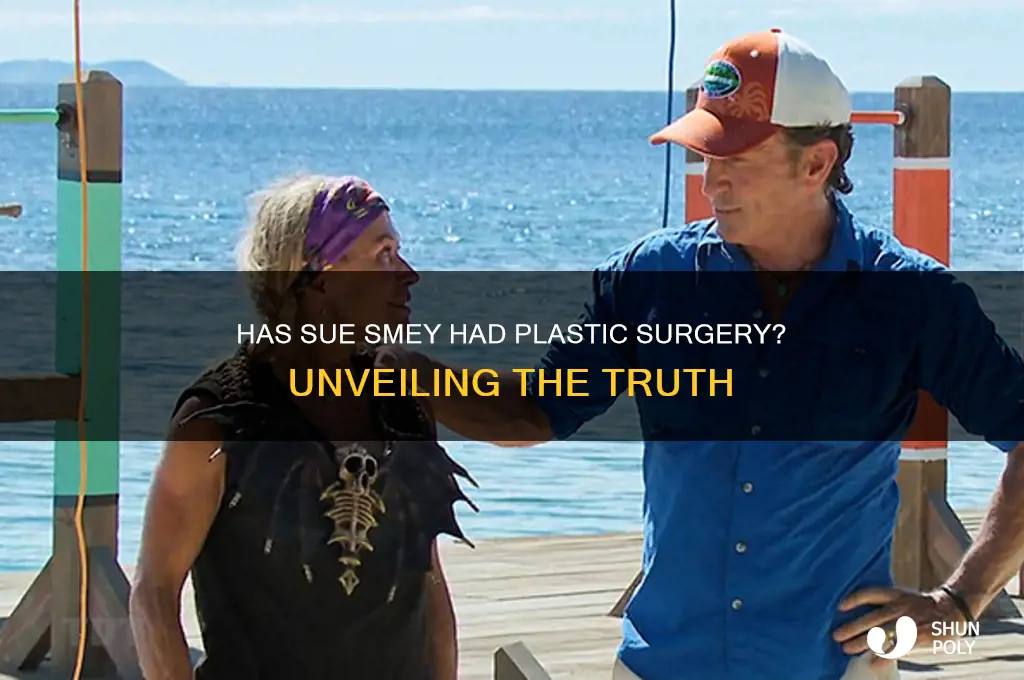 Has Sue Smey Had Plastic Surgery? Unveiling The Truth | ShunPoly