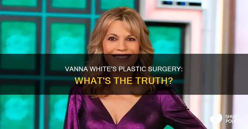 Vanna White's Plastic Surgery: What's The Truth? | ShunPoly