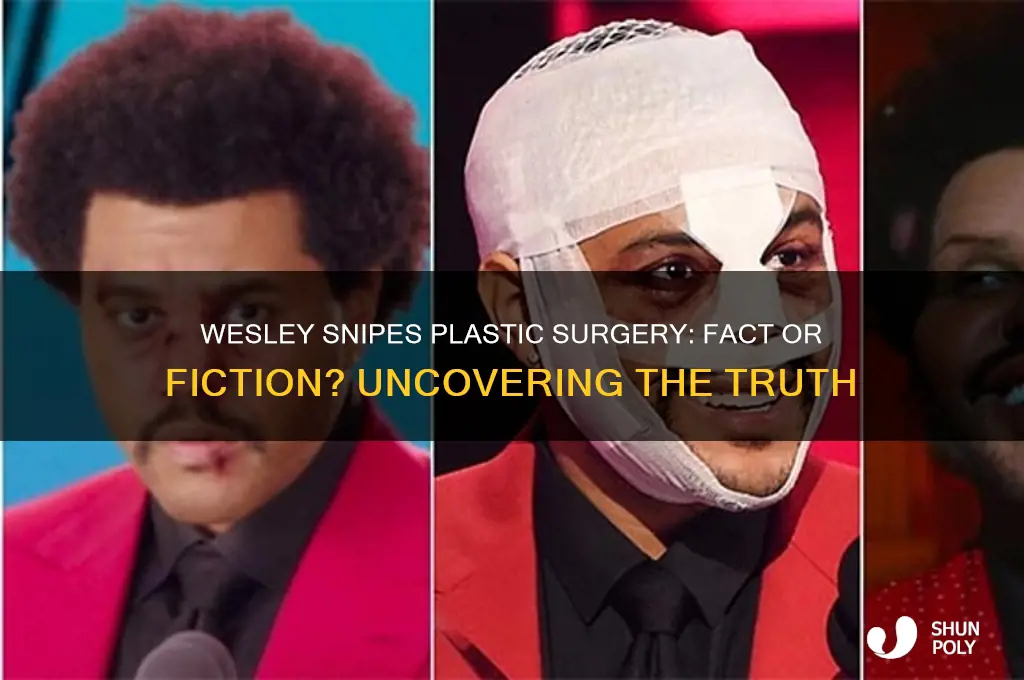 Wesley Snipes Plastic Surgery: Fact Or Fiction? Uncovering The Truth ...