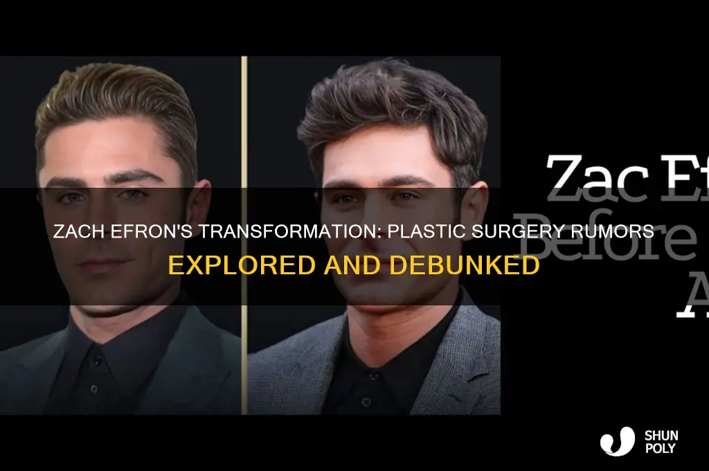 Zach Efron's Transformation: Plastic Surgery Rumors Explored And ...