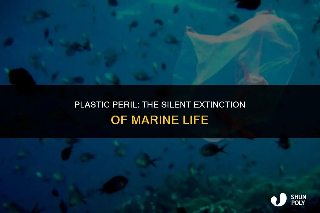 Plastic Peril: The Silent Extinction Of Marine Life | ShunPoly