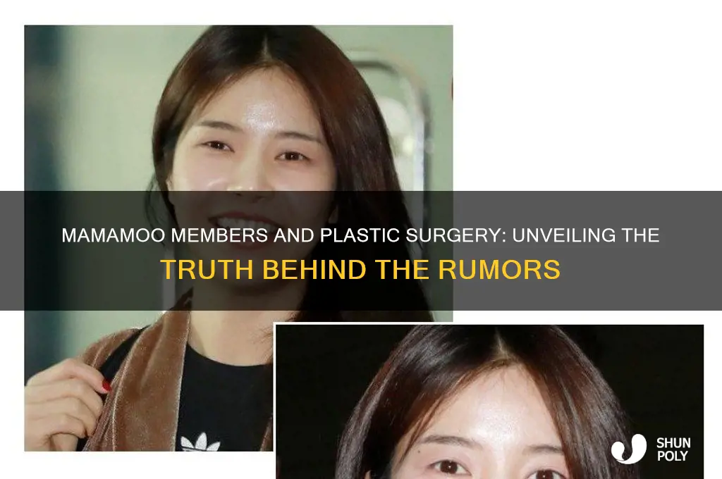 Mamamoo Members And Plastic Surgery: Unveiling The Truth Behind The ...