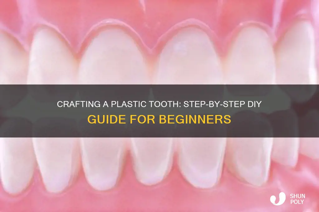 Crafting A Plastic Tooth: Step-By-Step Diy Guide For Beginners | ShunPoly