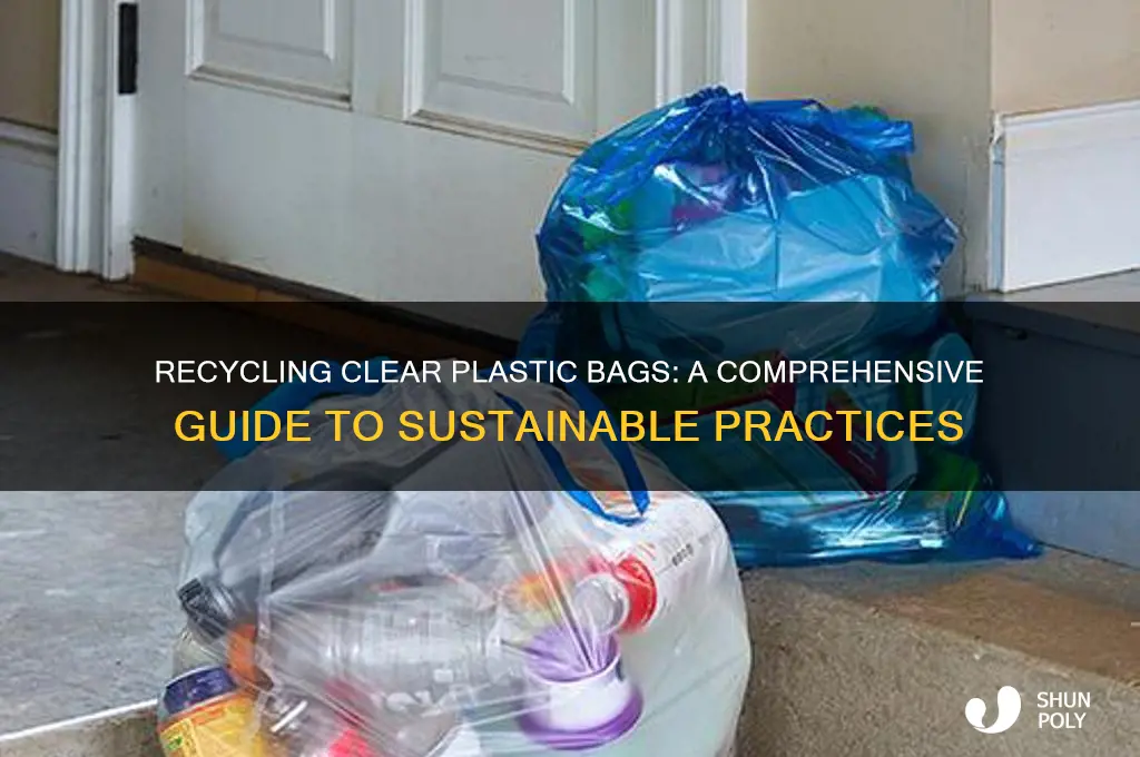 Recycling Clear Plastic Bags: A Comprehensive Guide To Sustainable ...