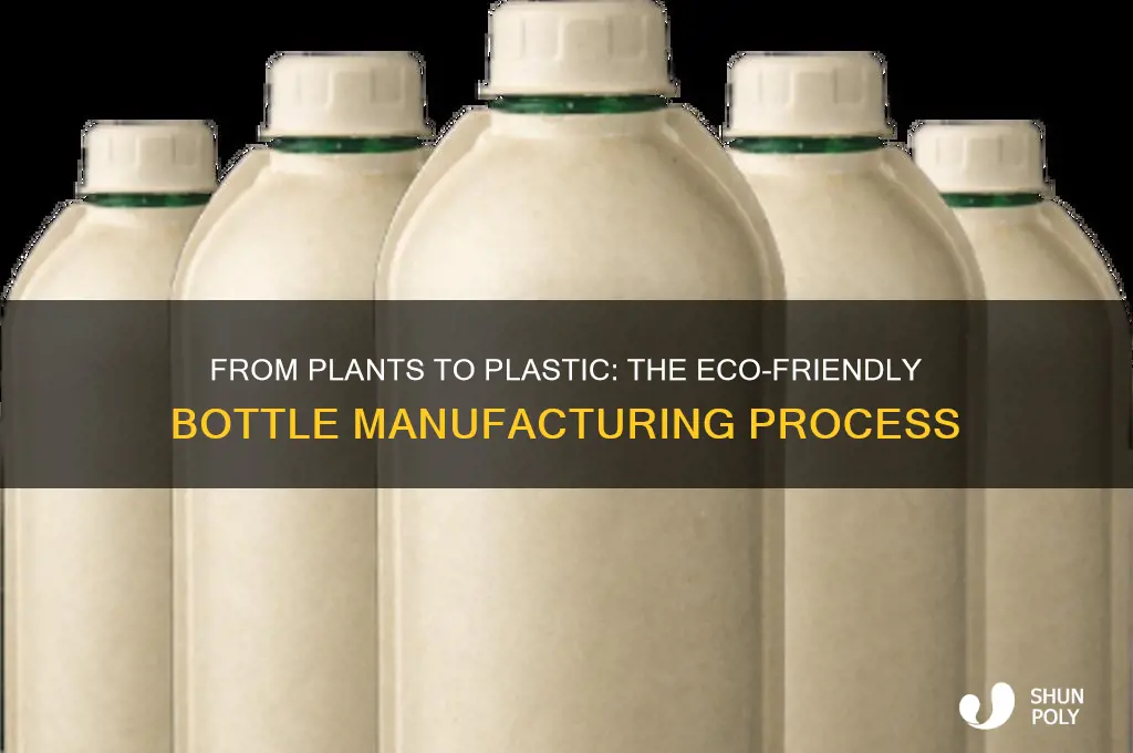 From Plants To Plastic: The Eco-Friendly Bottle Manufacturing Process ...