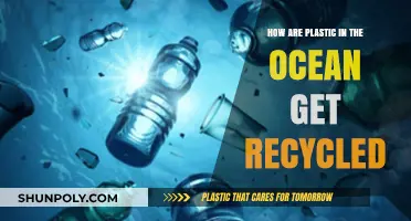 Ocean Plastic Recycling: Transforming Marine Waste Into Sustainable ...