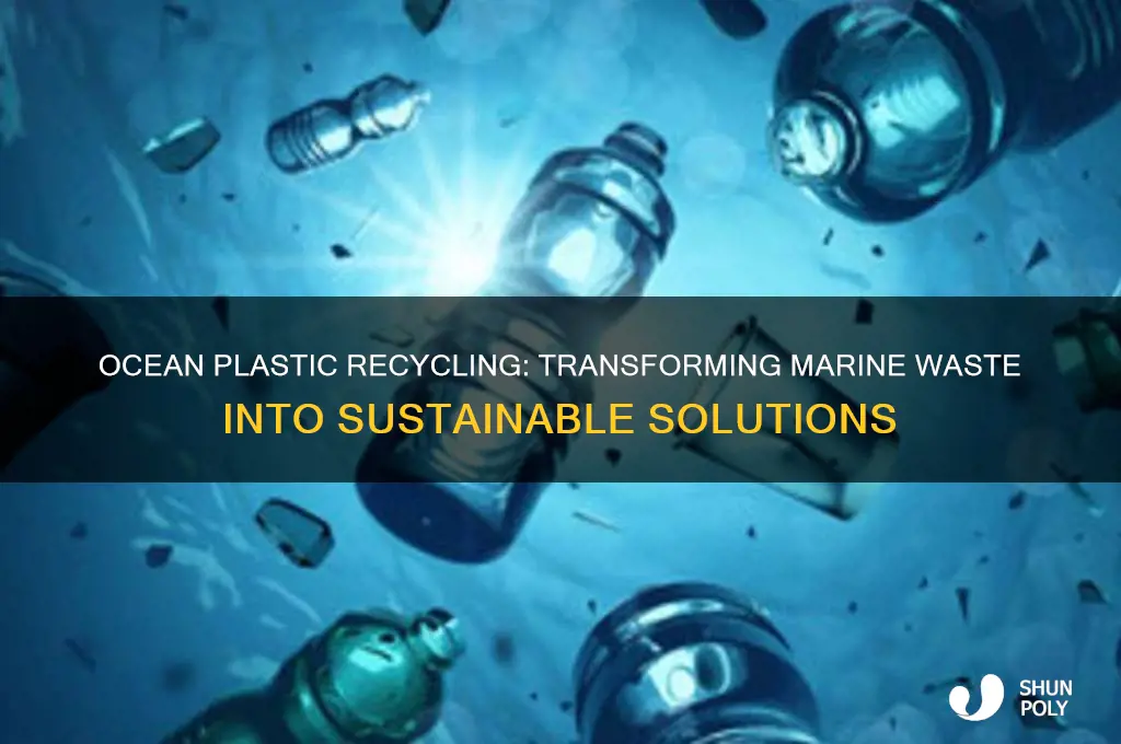Ocean Plastic Recycling: Transforming Marine Waste Into Sustainable ...