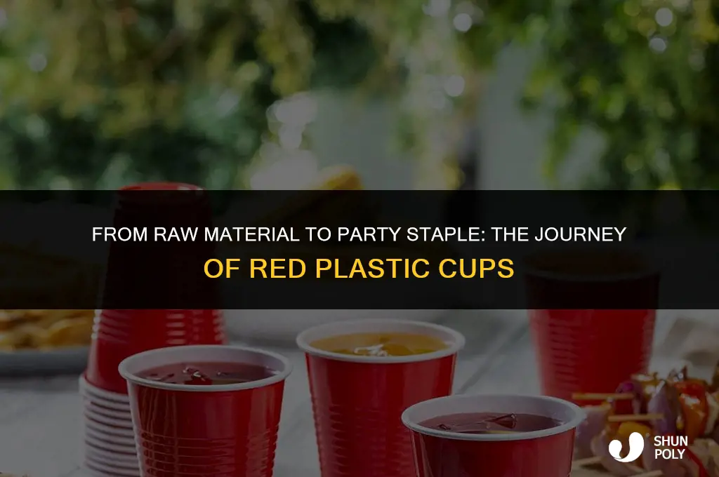 From Raw Material To Party Staple: The Journey Of Red Plastic Cups ...