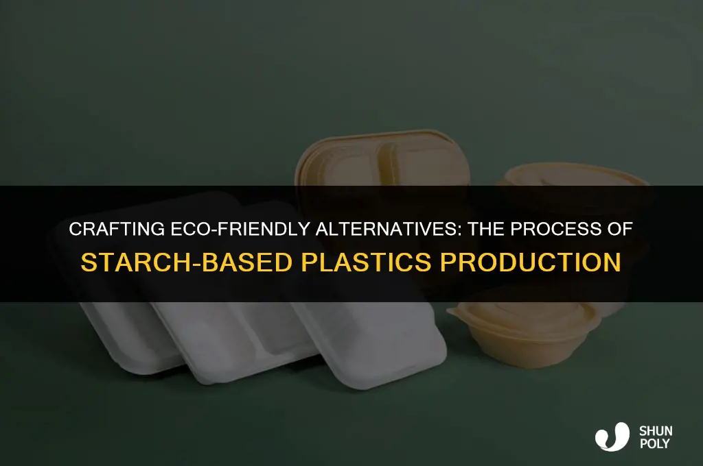 Crafting Eco-Friendly Alternatives: The Process Of Starch-Based ...