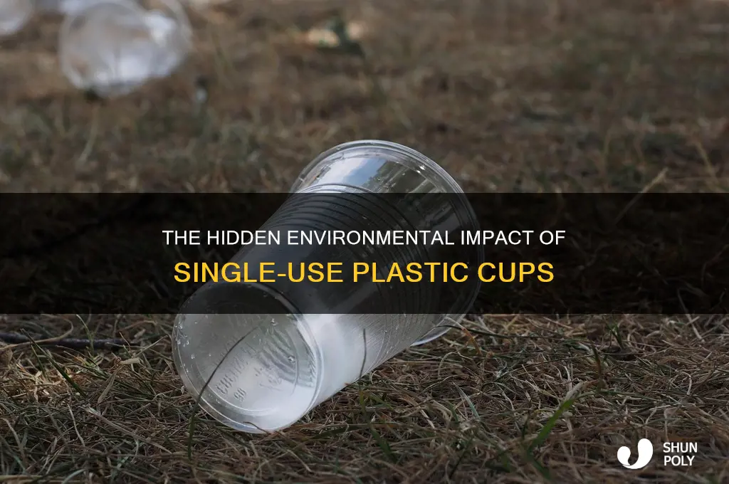 The Hidden Environmental Impact Of Single-Use Plastic Cups | ShunPoly