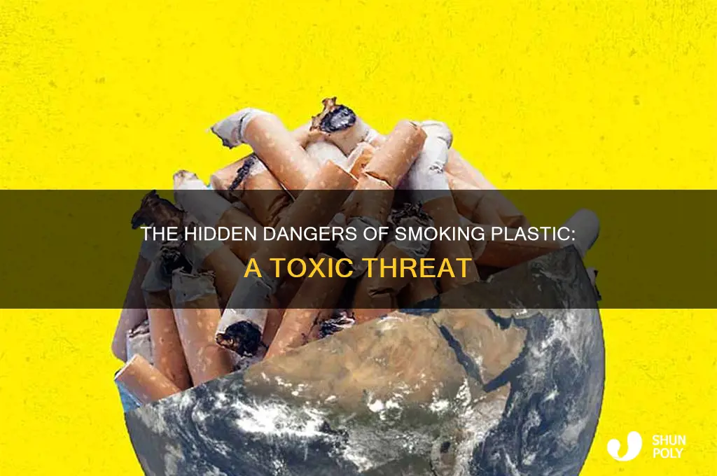 The Hidden Dangers Of Smoking Plastic: A Toxic Threat | ShunPoly