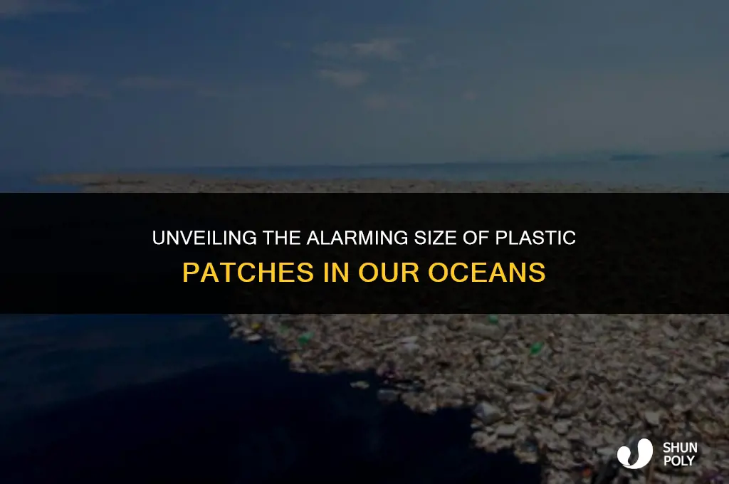 Unveiling The Alarming Size Of Plastic Patches In Our Oceans | ShunPoly