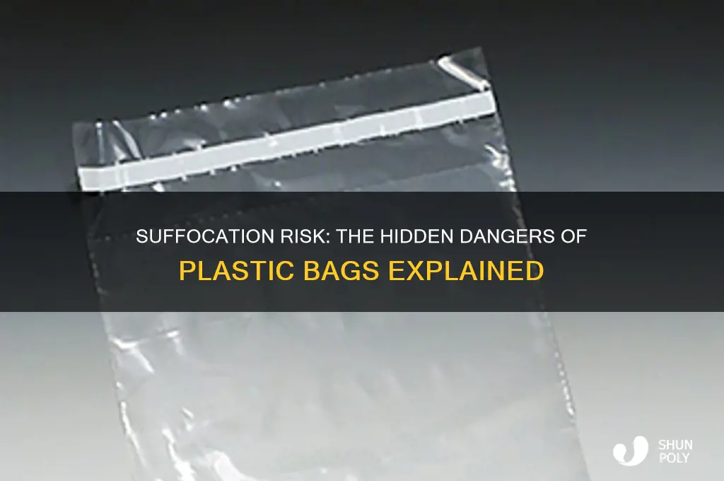 Suffocation Risk: The Hidden Dangers Of Plastic Bags Explained | ShunPoly