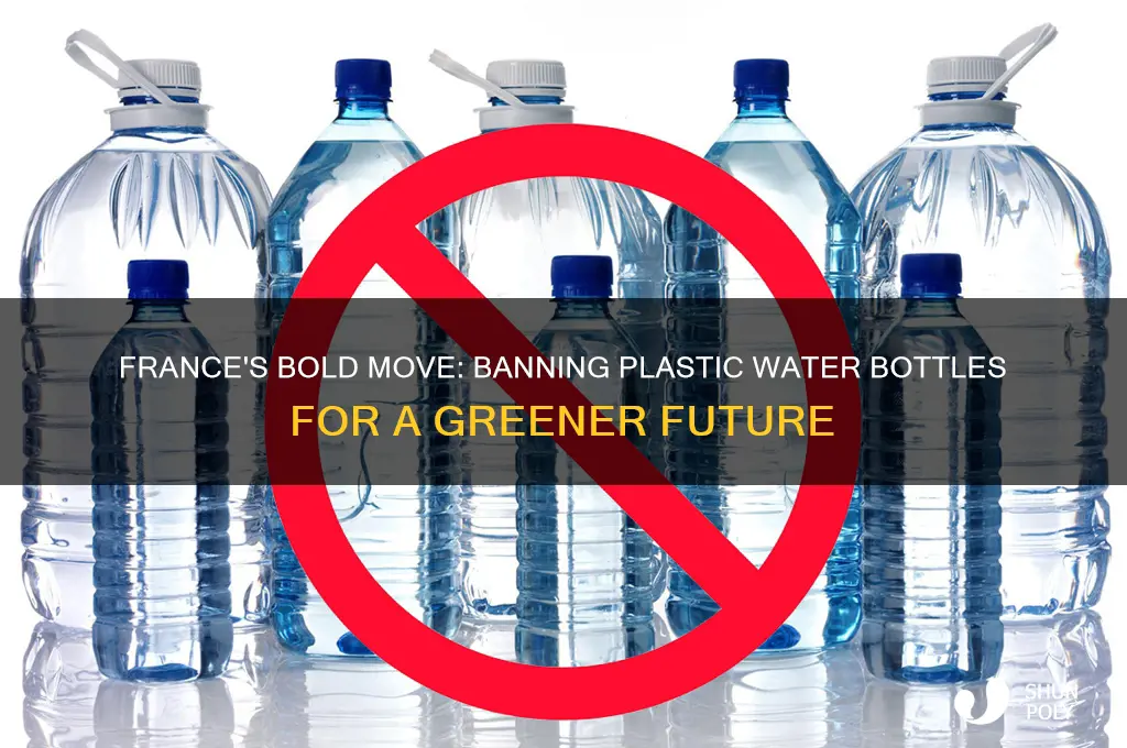 France's Bold Move: Banning Plastic Water Bottles For A Greener Future ...