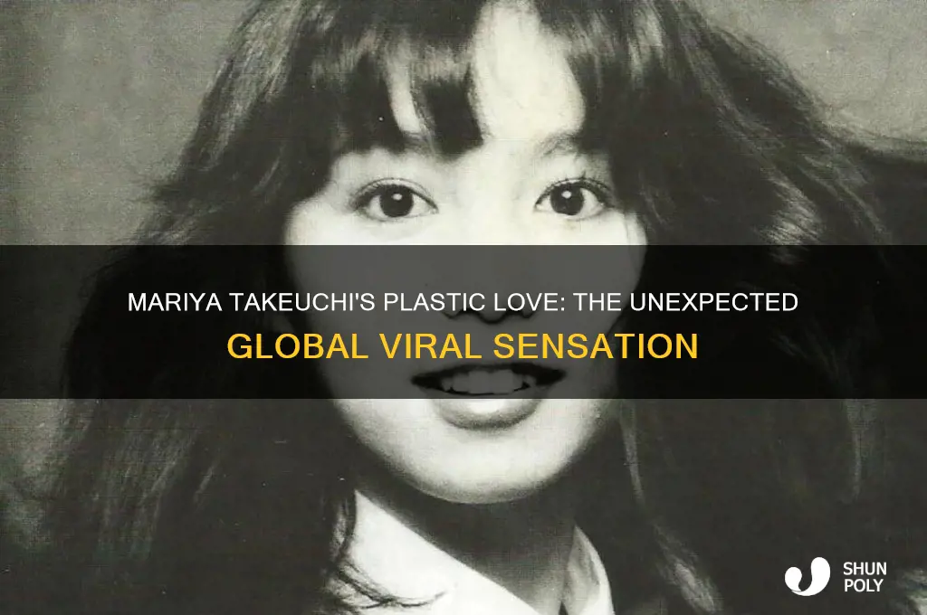 Mariya Takeuchi's Plastic Love: The Unexpected Global Viral Sensation ...