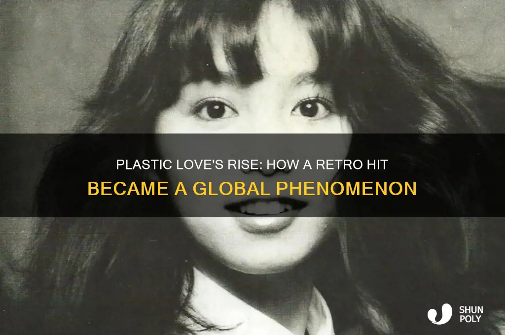 Plastic Love's Rise: How A Retro Hit Became A Global Phenomenon | ShunPoly