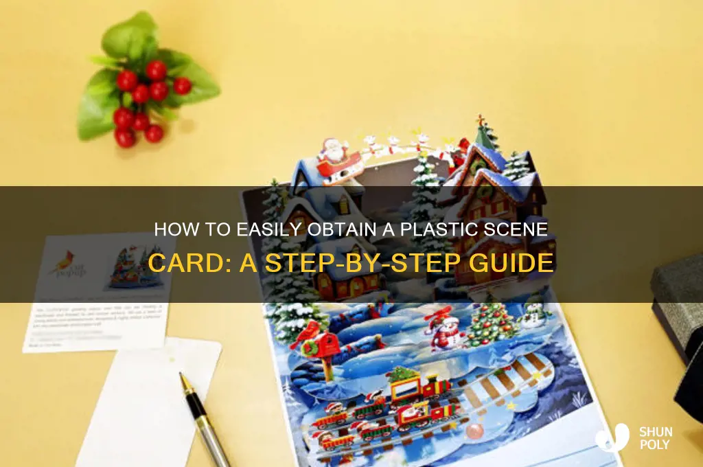 How To Easily Obtain A Plastic Scene Card: A Step-By-Step Guide | ShunPoly