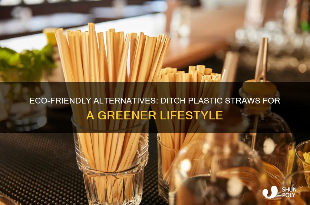 Eco-Friendly Alternatives: Ditch Plastic Straws For A Greener Lifestyle ...