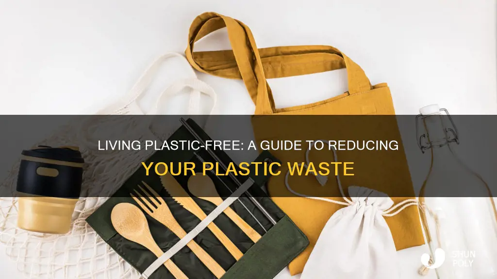 Living Plastic-Free: A Guide To Reducing Your Plastic Waste | ShunPoly