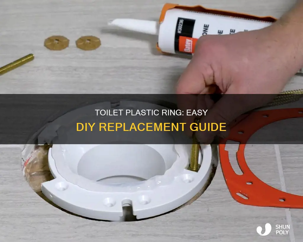 Toilet Plastic Ring: Easy Diy Replacement Guide | ShunPoly