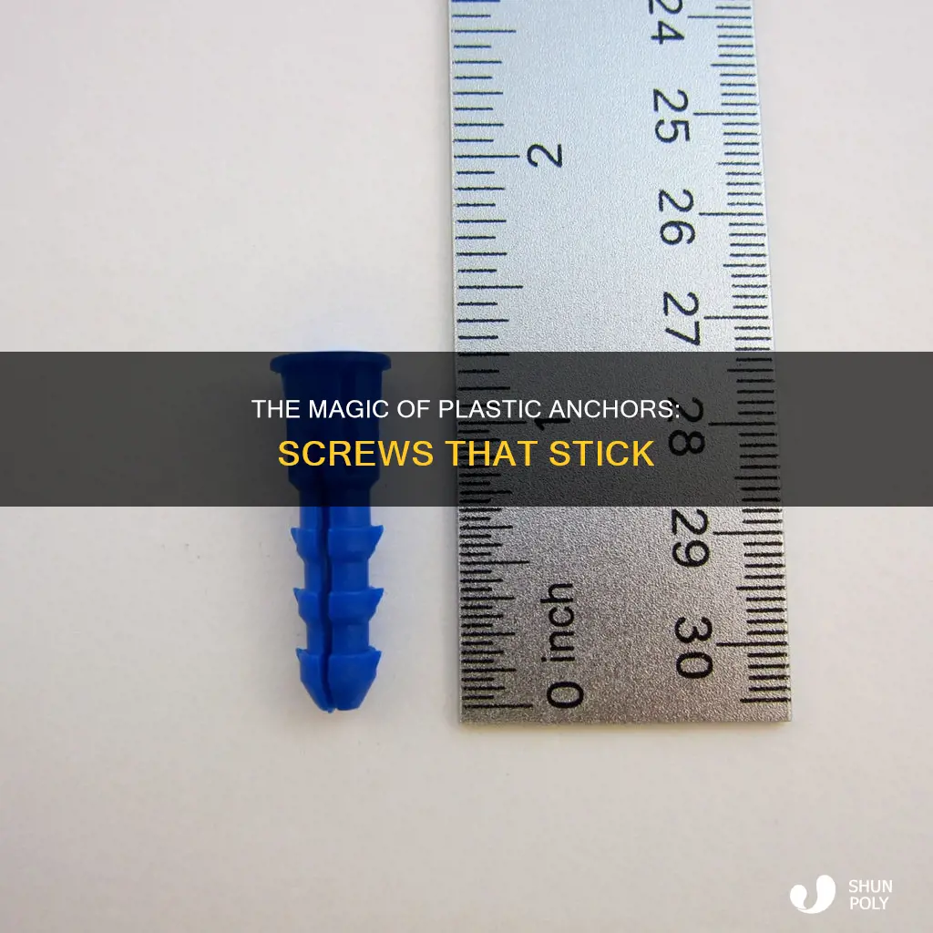 The Magic Of Plastic Anchors: Screws That Stick | ShunPoly