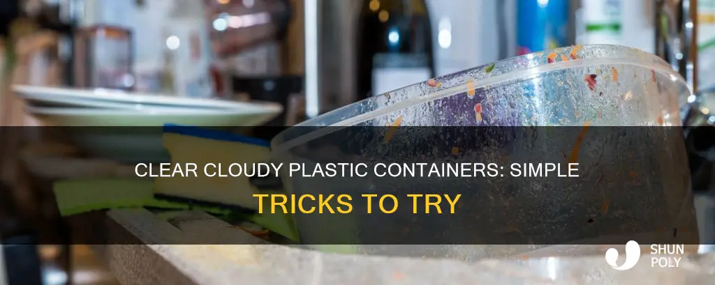Clear Cloudy Plastic Containers: Simple Tricks To Try | ShunPoly
