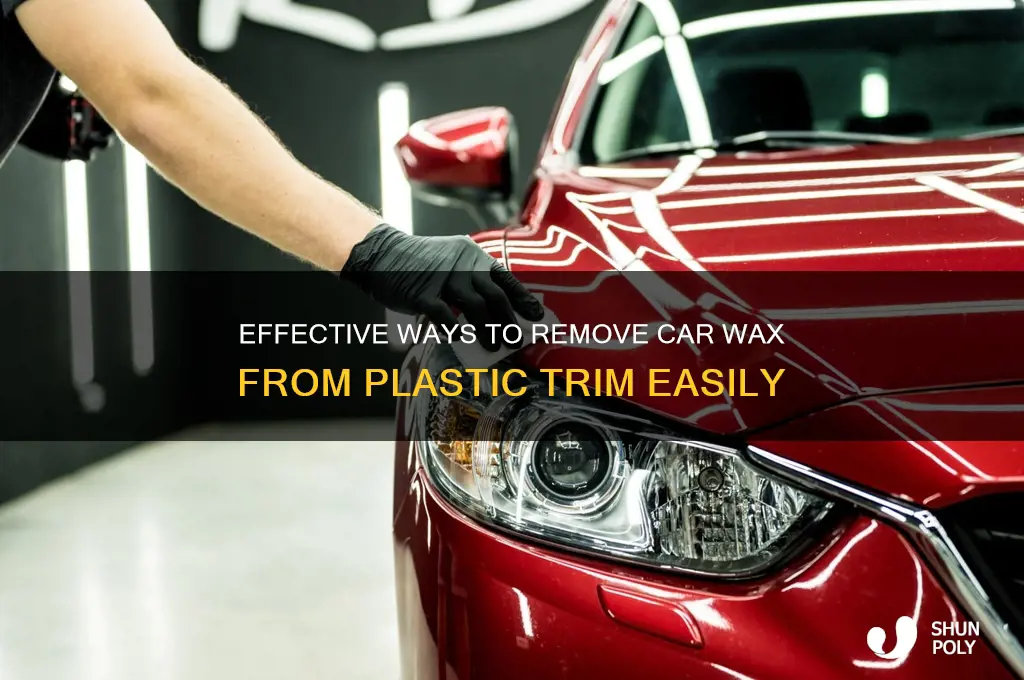 Effective Ways To Remove Car Wax From Plastic Trim Easily | ShunPoly