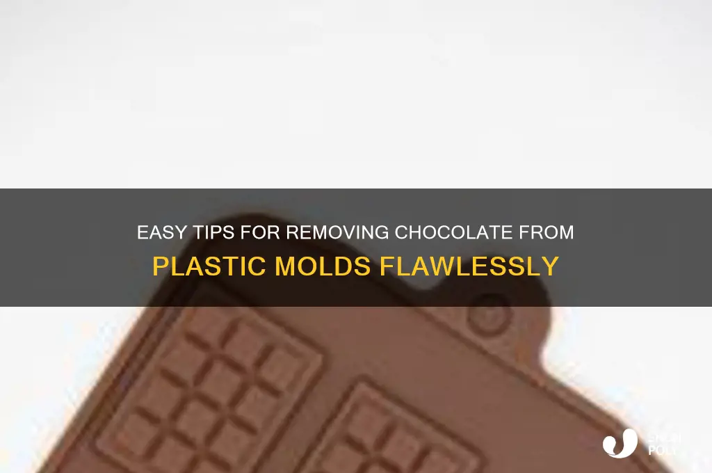 Easy Tips For Removing Chocolate From Plastic Molds Flawlessly | ShunPoly