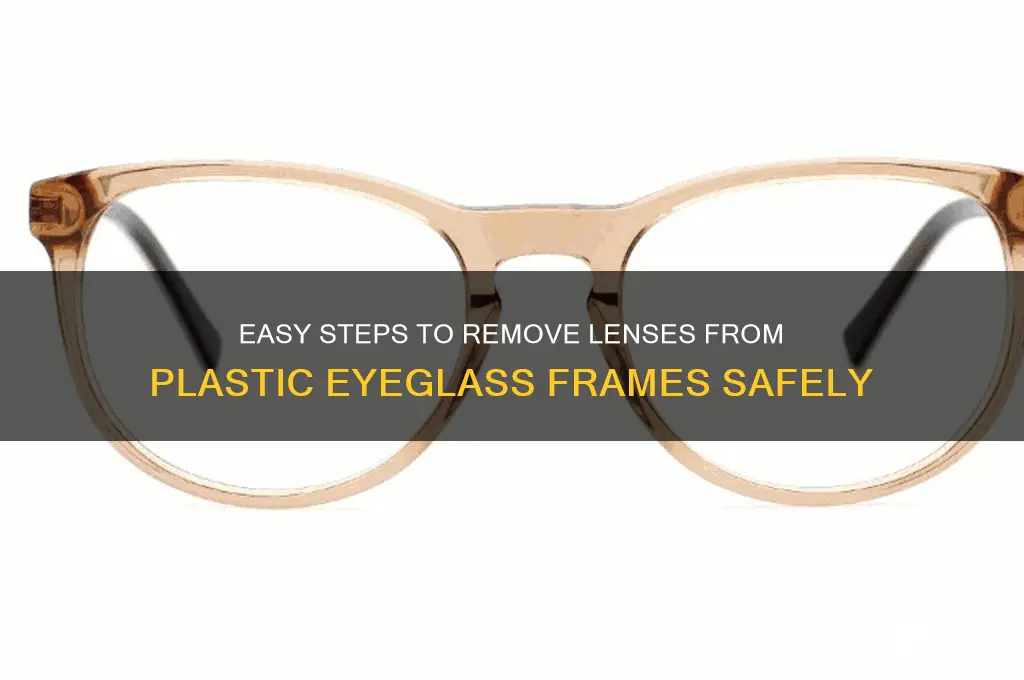 Easy Steps To Remove Lenses From Plastic Eyeglass Frames Safely | ShunPoly