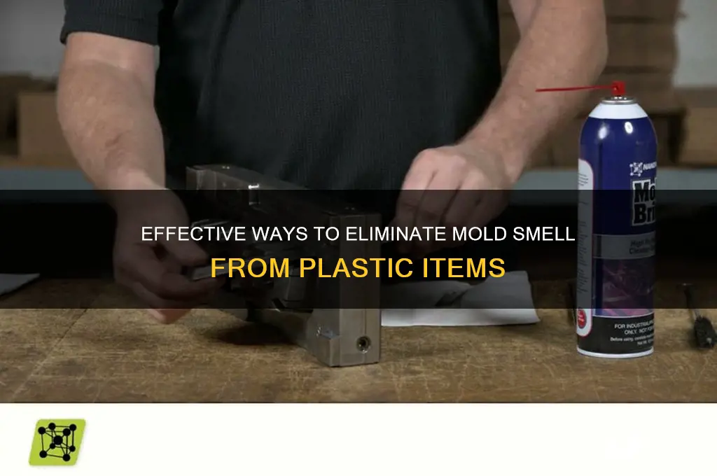 Effective Ways To Eliminate Mold Smell From Plastic Items | ShunPoly