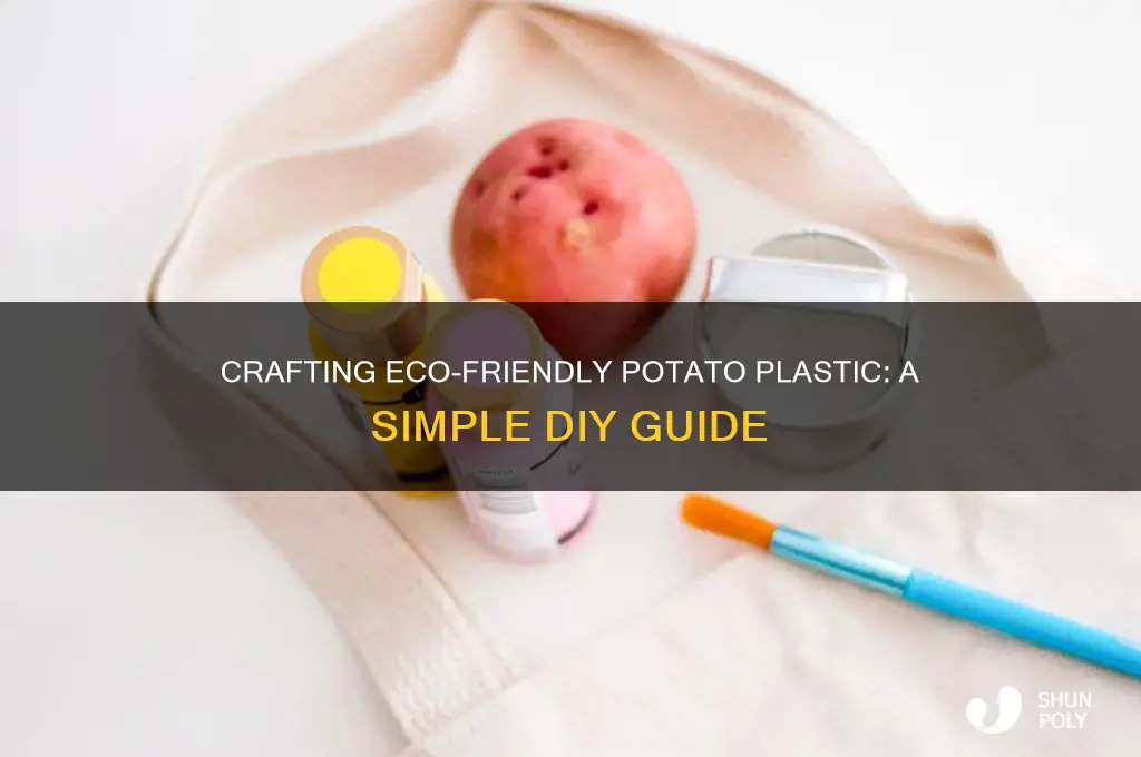 Crafting Eco-Friendly Potato Plastic: A Simple Diy Guide | ShunPoly