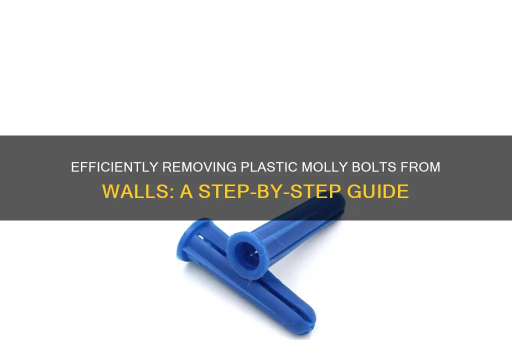 Efficiently Removing Plastic Molly Bolts From Walls: A Step-By-Step ...
