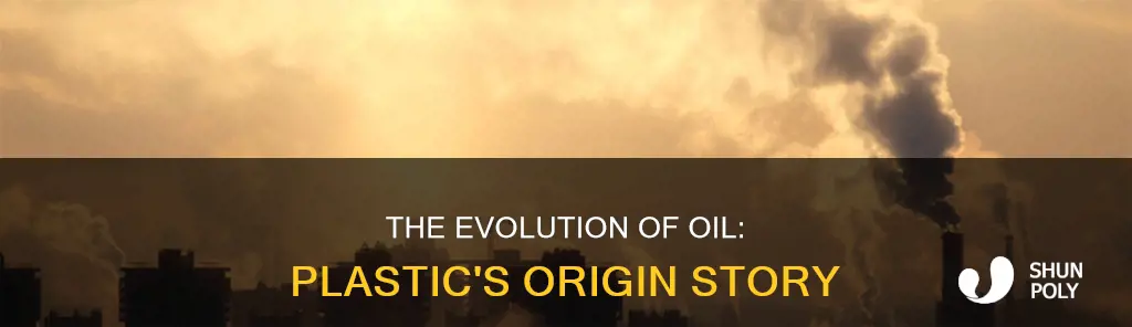 The Evolution Of Oil: Plastic's Origin Story | ShunPoly