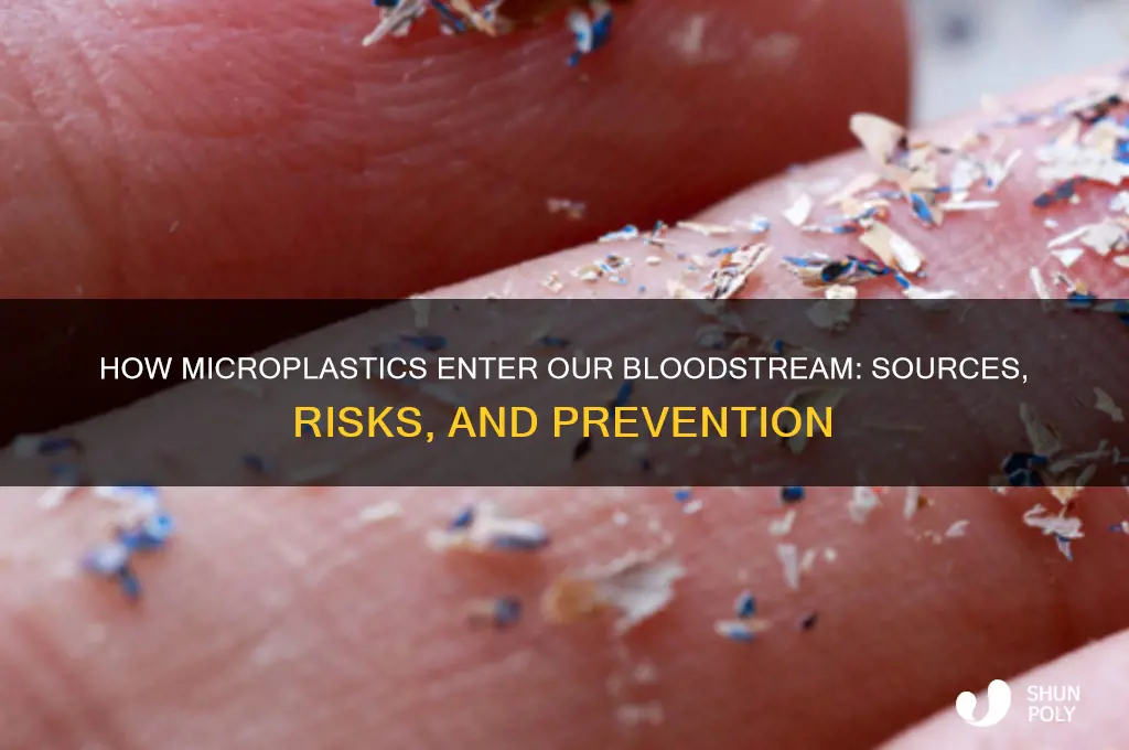 How Microplastics Enter Our Bloodstream: Sources, Risks, And Prevention ...