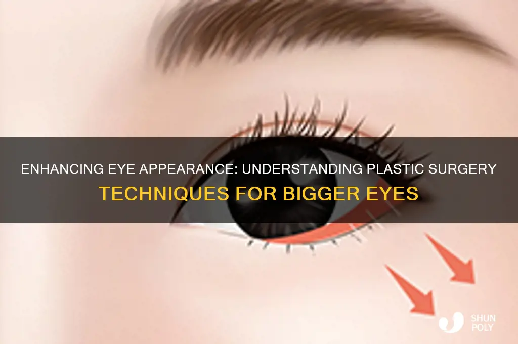 Enhancing Eye Appearance: Understanding Plastic Surgery Techniques For ...