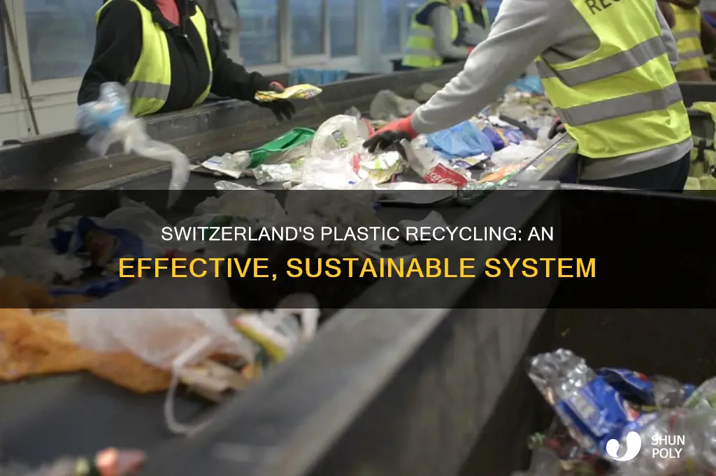 Switzerland's Plastic Recycling: An Effective, Sustainable System ...