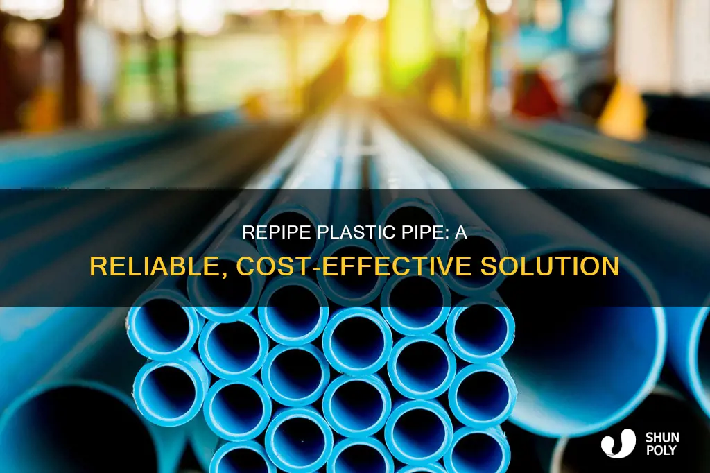 Repipe Plastic Pipe: A Reliable, Cost-Effective Solution | ShunPoly