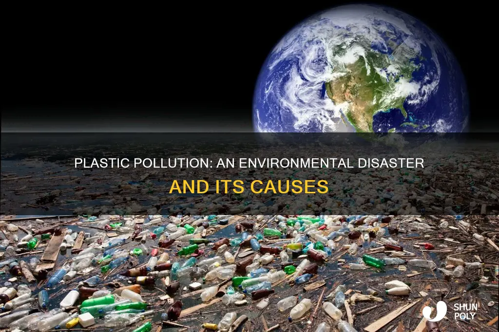 Plastic Pollution: An Environmental Disaster And Its Causes | ShunPoly