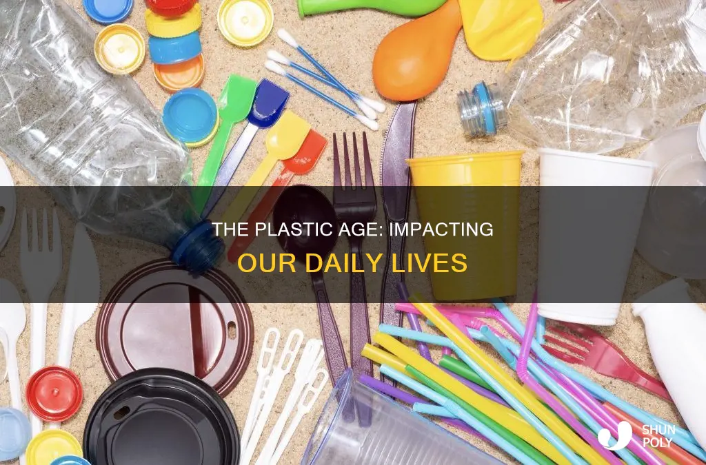 The Plastic Age: Impacting Our Daily Lives | ShunPoly