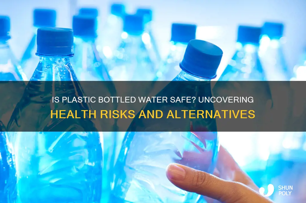 Is Plastic Bottled Water Safe? Uncovering Health Risks And Alternatives ...